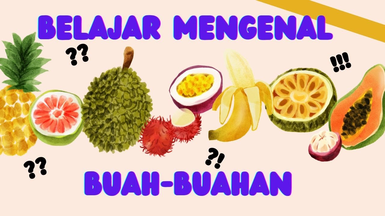 Belajar Mengenal Buah Buahan | Belajar Nama Buah Bahasa Indonesia - YouTube