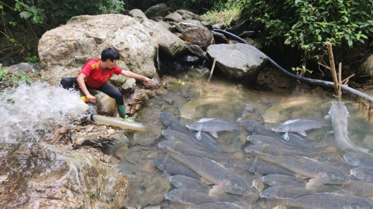 Fishing techniques, Catching fish with a pump, Boy Lam catches many ...