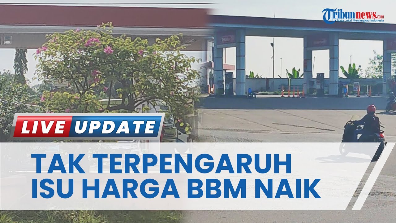Warga Pelalawan Tak Terpengaruh Isu Harga BBM Naik, Tidak Panic Buying hingga Kondisi SPBU ...