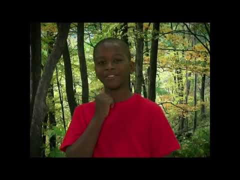 My Spy Birdhouse Commercial - As Seen On TV - YouTube
