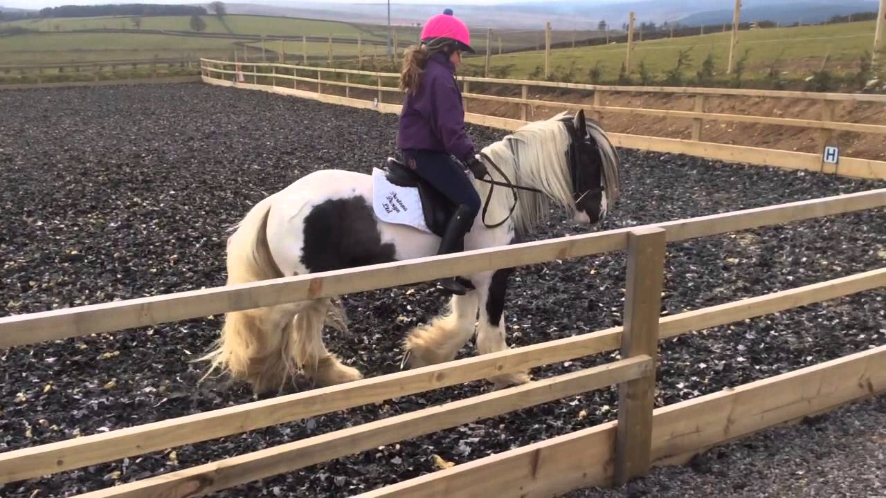 Pip and billy intro c feb16 - YouTube