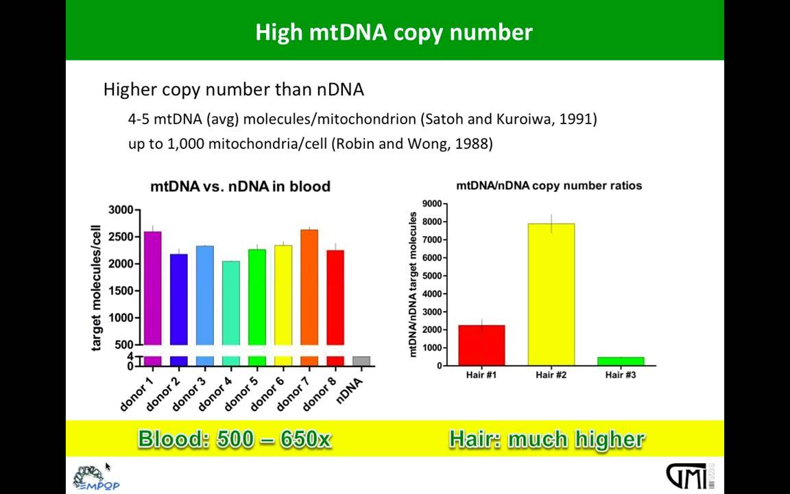 Ion Torrent™ Semiconductor Sequencing for Forensic Applications - YouTube
