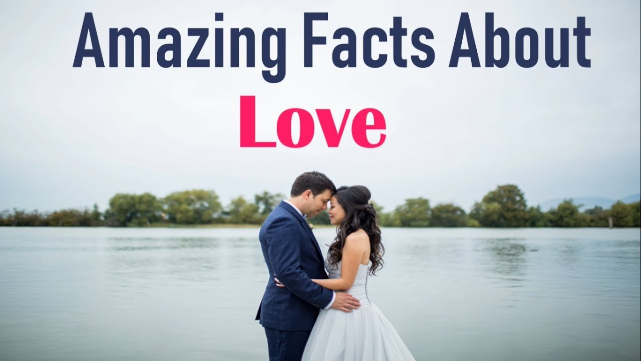Amazing Facts About LOVE | Interesting Facts | LET ME KNOW - YouTube