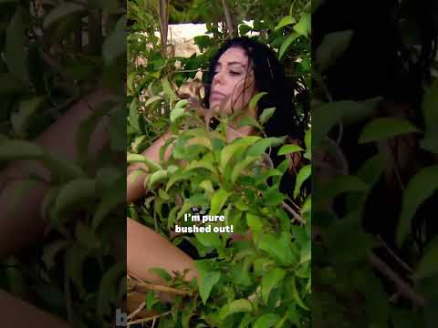 “I’m pure bushed out” 🤣 #GeordieShore