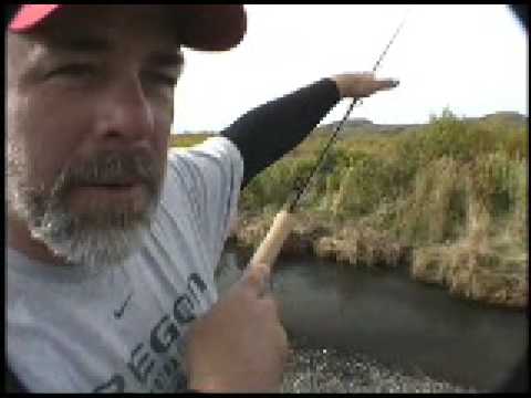 Hawg Quest & Fish Kodiak Aventures Alaska Coho Portage River - YouTube
