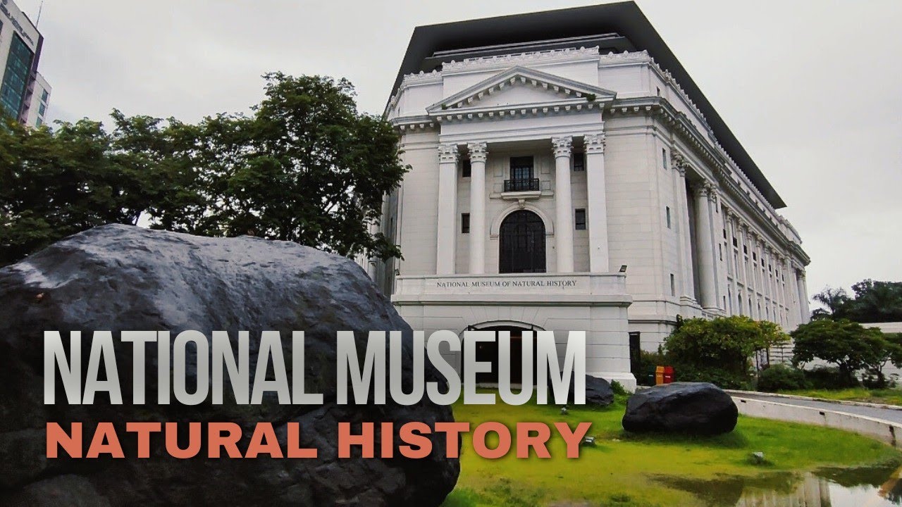 National Museum of Natural History | Walking Tour - YouTube