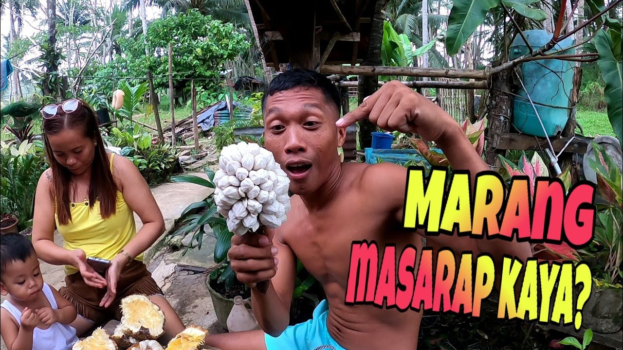 (HERE IN MINDANAO), Marang Fruit Masarap kaya? Ang Unang tikim and my first Impression. - YouTube