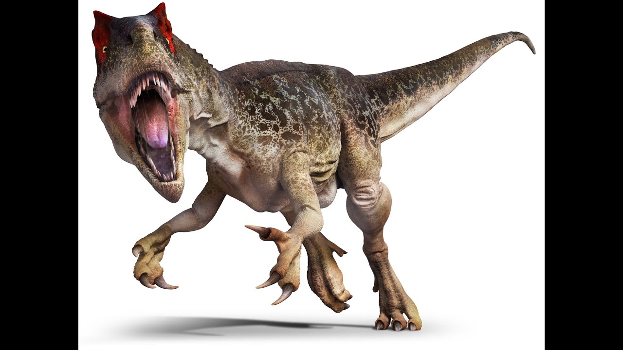 Allosaurus Sound Effects - YouTube