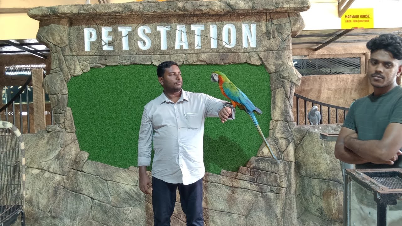 Trip to PET STATION : MATOOL, Kannur, Kerala #pets #animals # ...