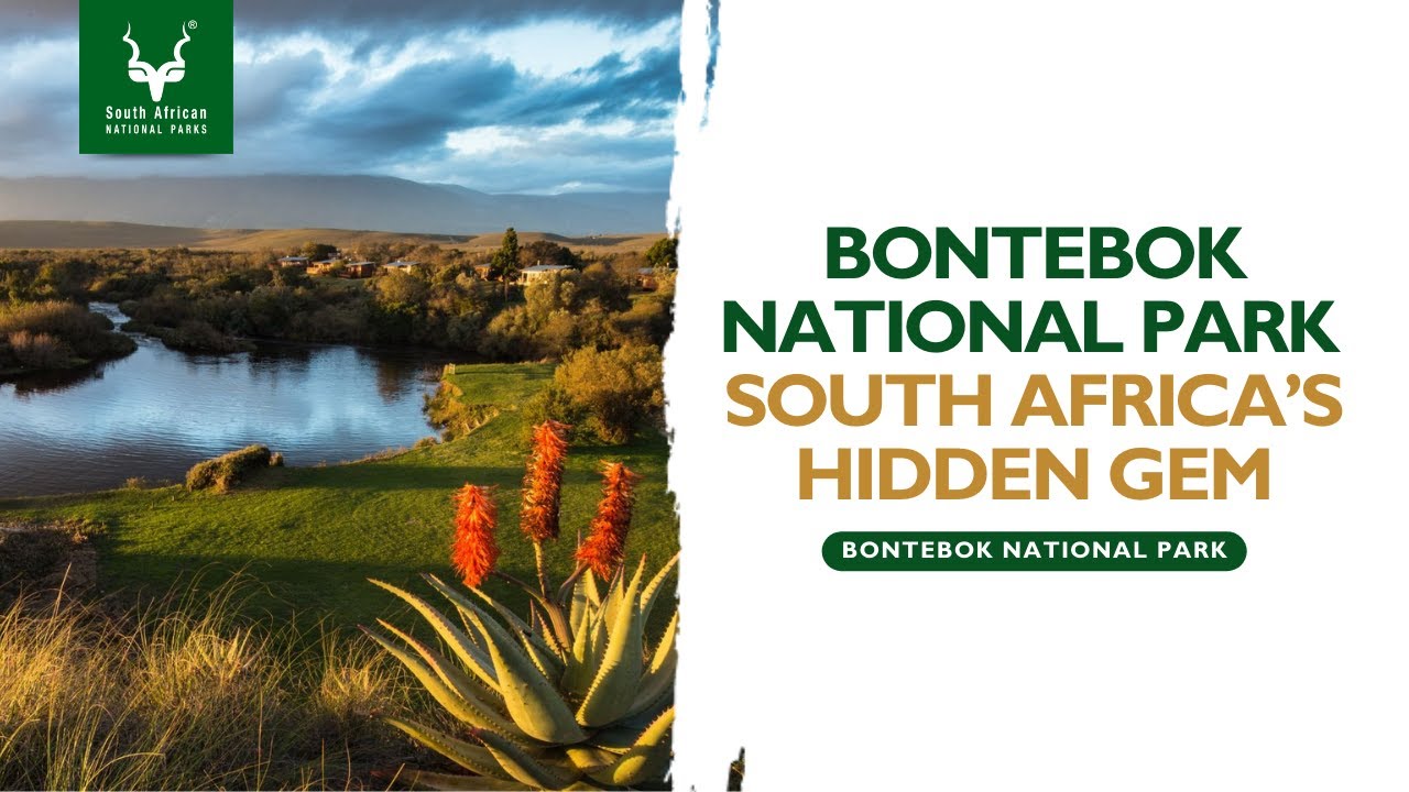 Bontebok National Park: South Africa’s Hidden Gem | #SANParks - YouTube