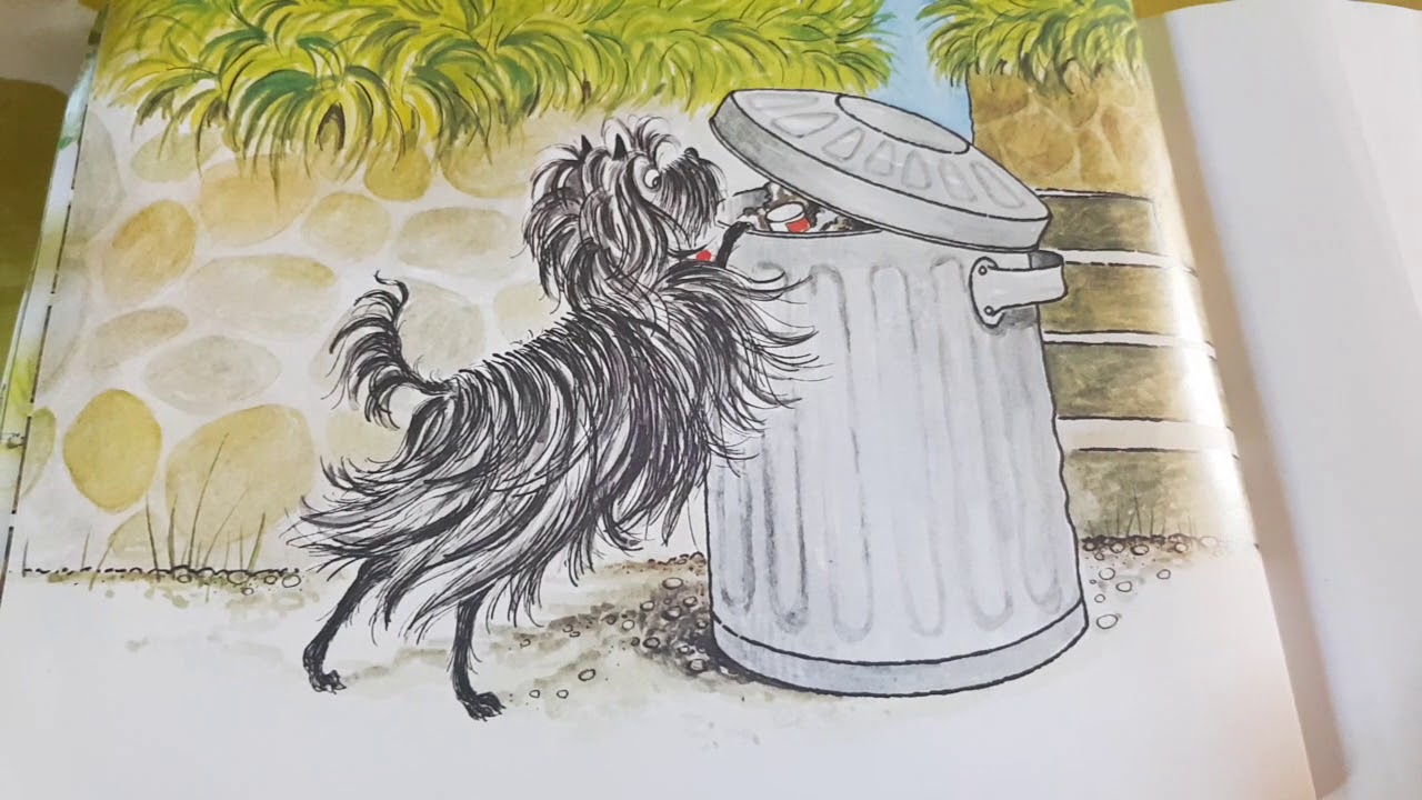 Hairy MaClary from Donaldsons Dairy - story time and book review - YouTube