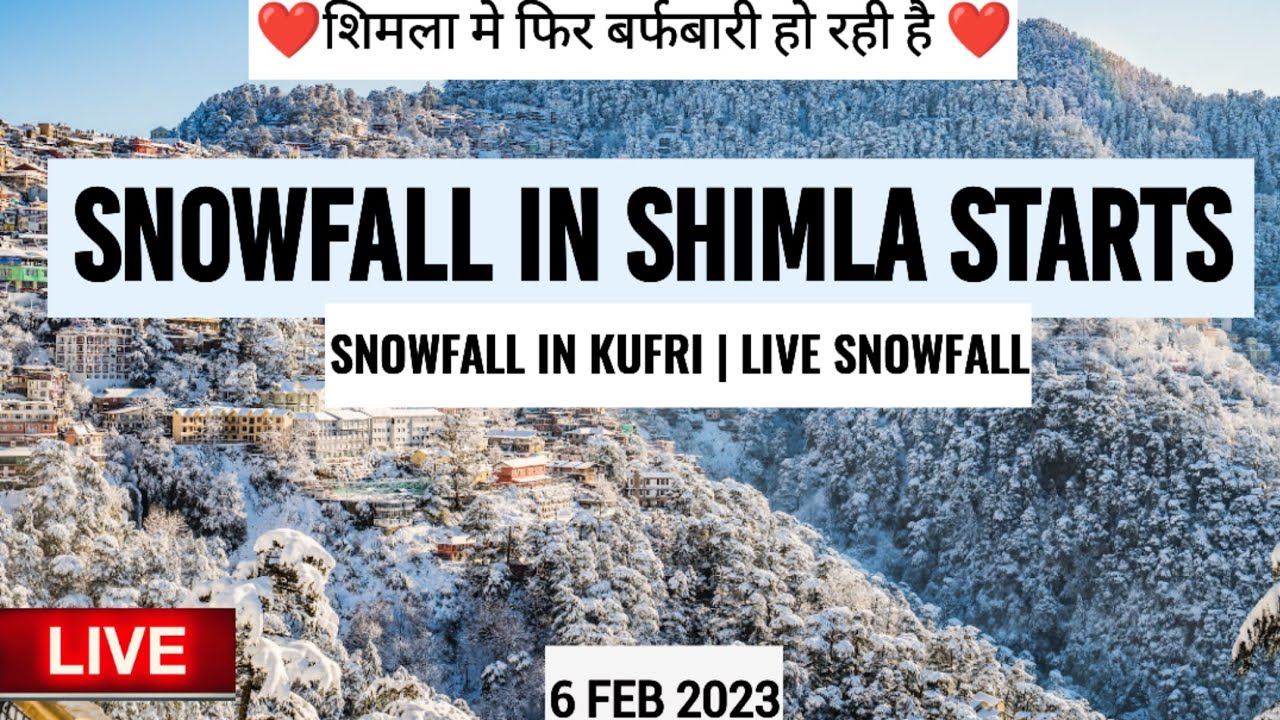 Snowfall in shimla starts again | live snowfall | shimla snowfall today ...