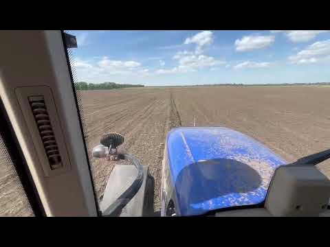 Сев семечки трактор Lovol 2604, сеялка amazone edx 6000🌻🚜 - YouTube