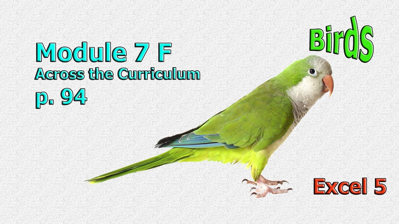 Excel 5 Grade 5 Module 7 Across the Curriculum 7 F Birds Птицы на ...