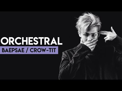 BTS (방탄소년단) 'Baepsae 뱁새' Orchestral Cover