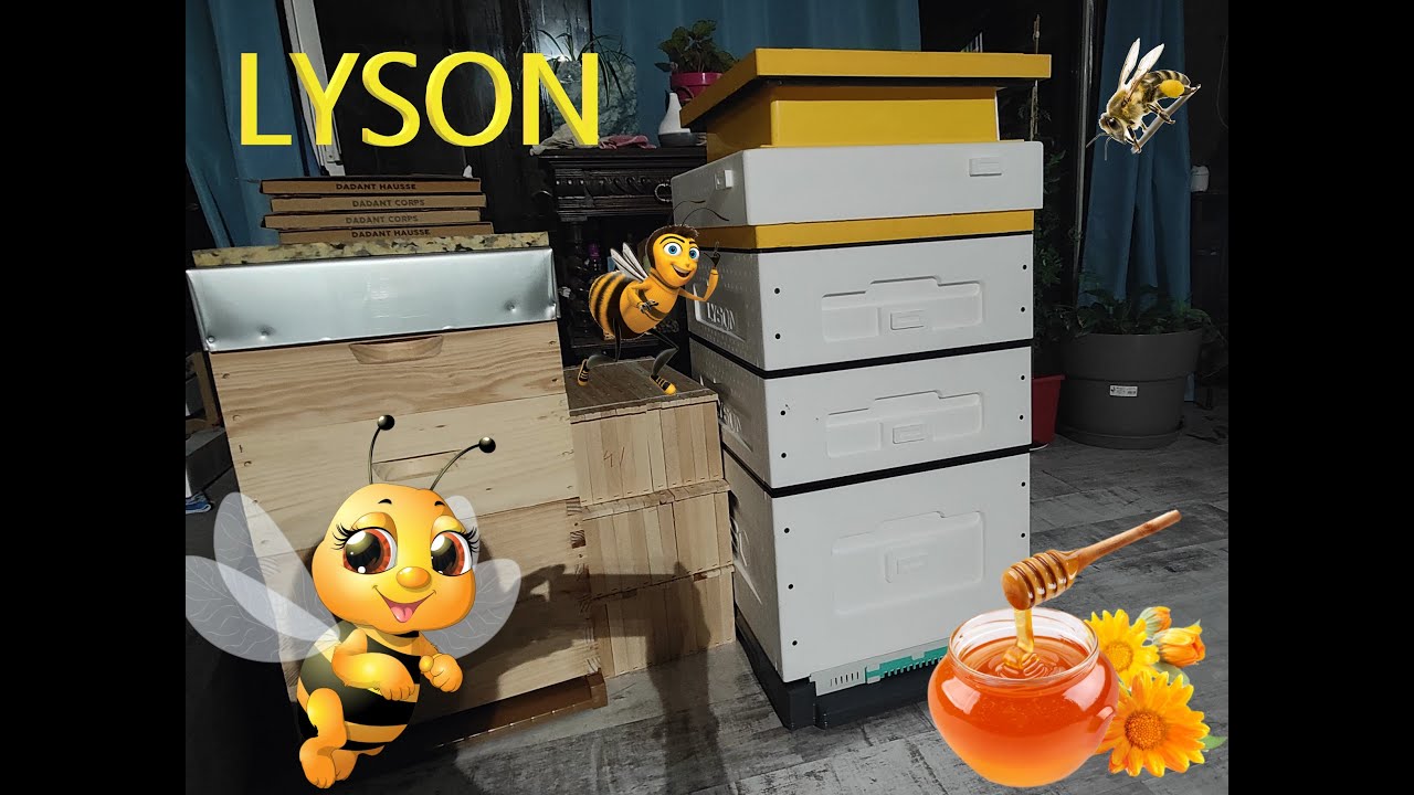 S02 EP01.Nouvelle Ruche "LYSON" Polystyrène extrudé . - YouTube