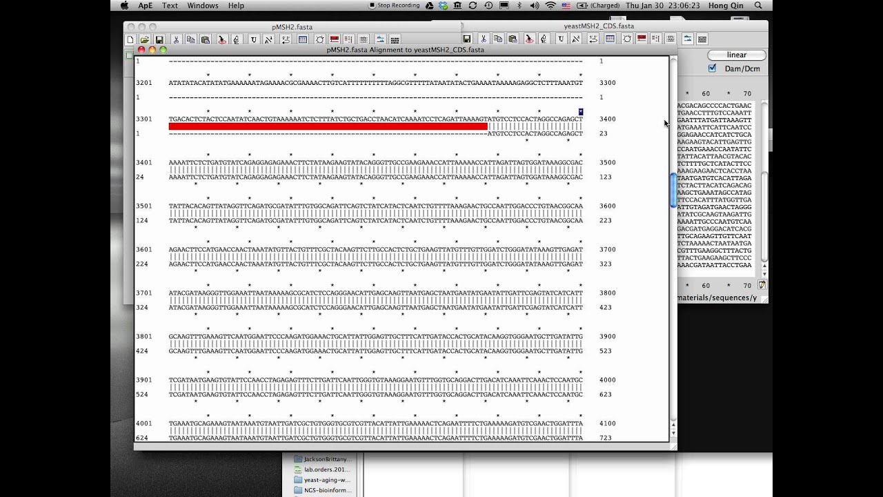 Annotate MSH2 ORF on a plasmid using ApE (A plasmid Editor) - YouTube