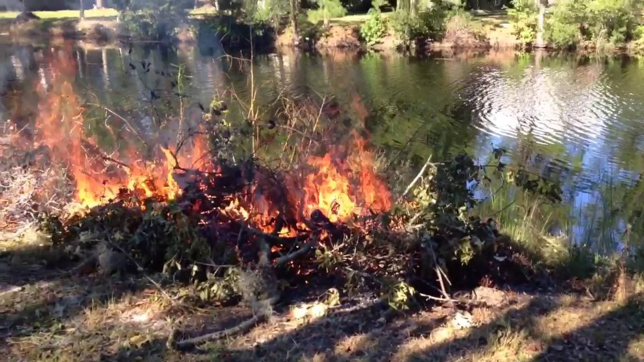 Burning the lagoon bank.....(again) - YouTube