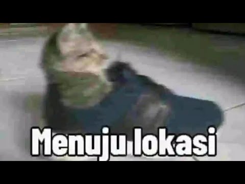 Meme absurd yang saya temukan di internet part 23