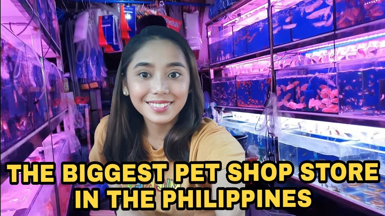 Cartimar 2020 | Buying Aquatic Plant - YouTube