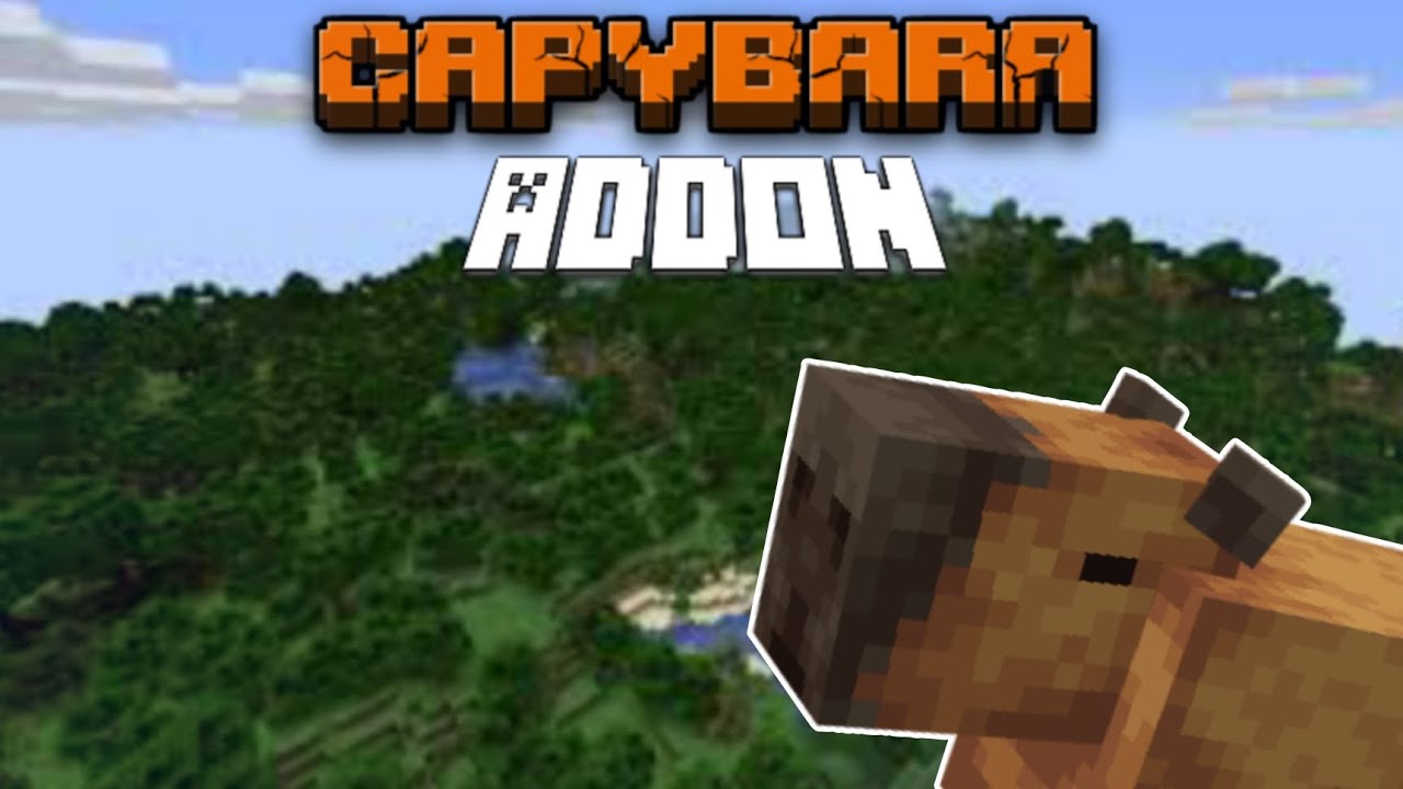 CAPYBARA Addon - Minecraft Bedrock/Pe 1.19.X - YouTube
