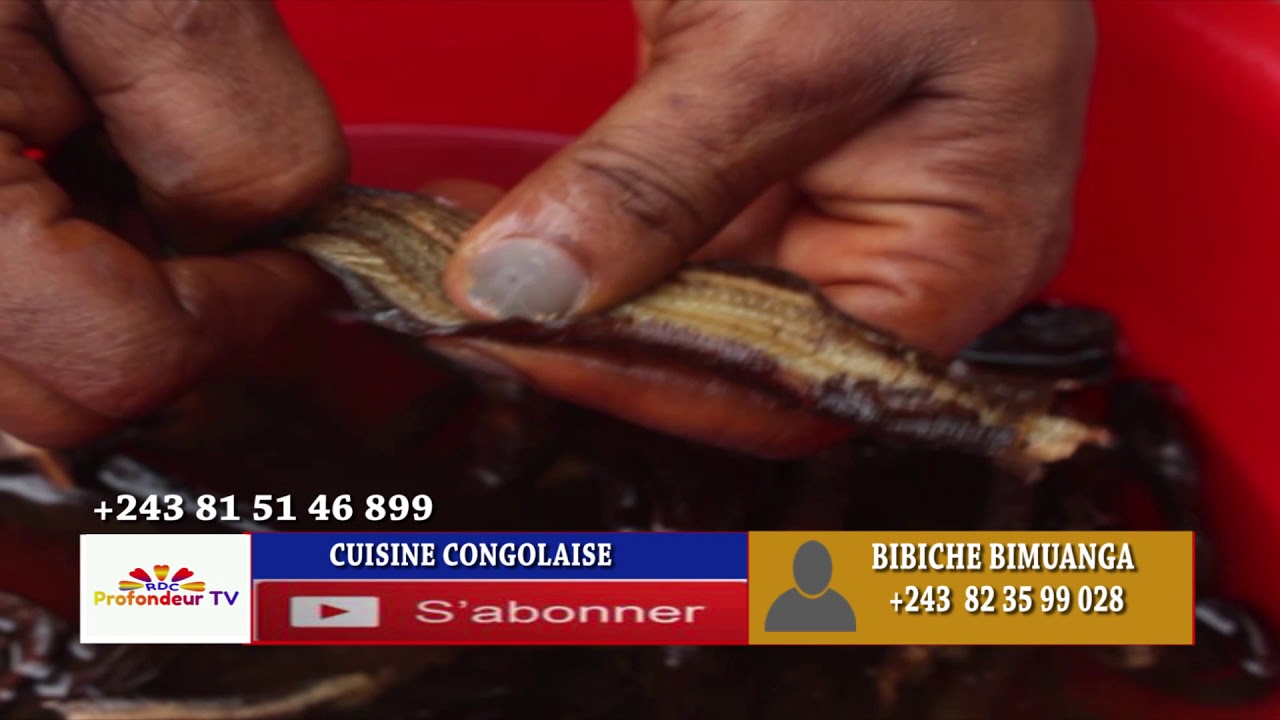 Bitekuteku et Tucha - YouTube