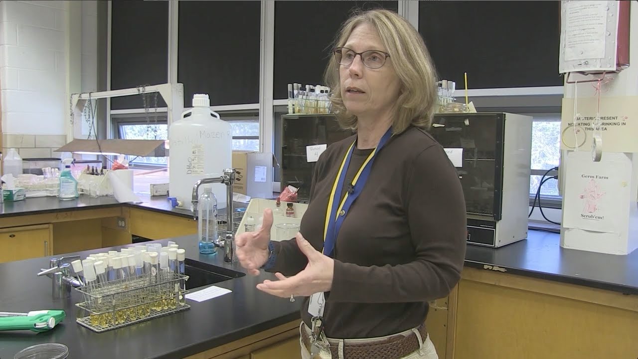 Cheltenham High School Microbiology - Ms. Sheridan on PARE Project ...