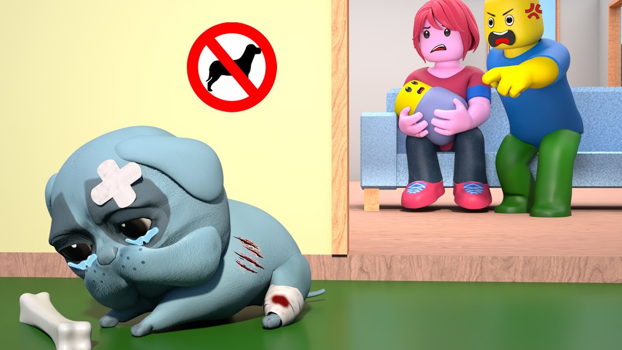 The Poor Dog | Roblox Brookhaven 🏡RP | Roblox Animation - YouTube
