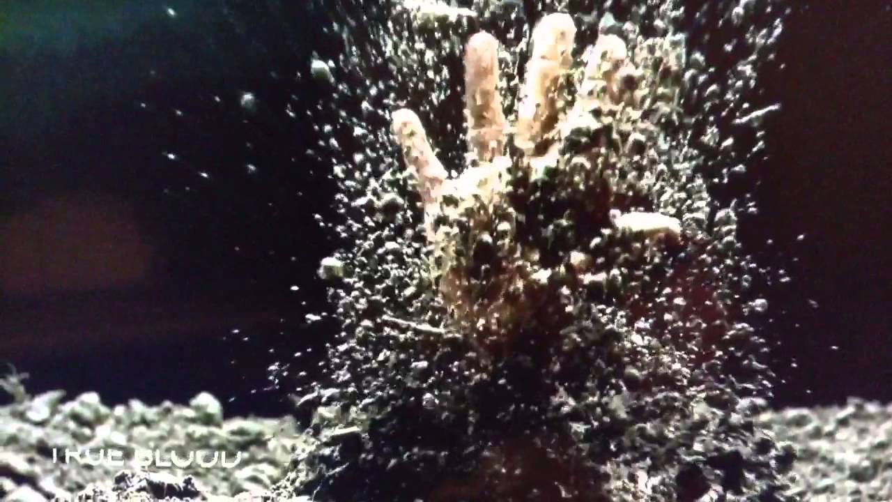 Epic HBO Ident - YouTube