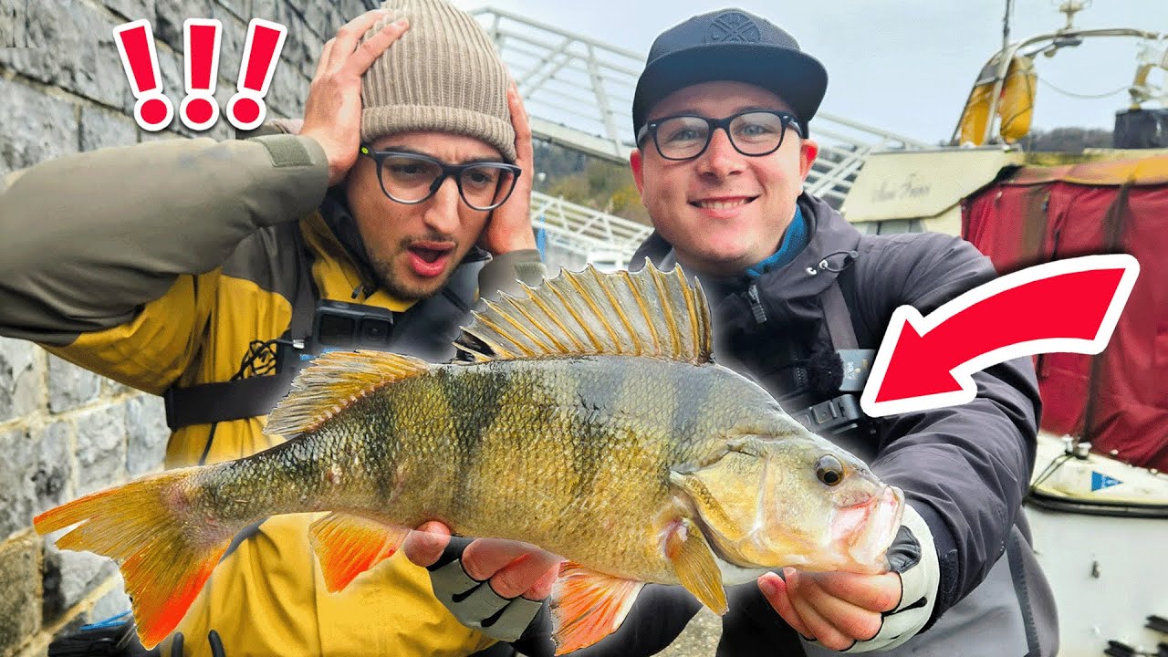 Ce petit port cache des poissons ÉNORMES (feat @tristanhedouin ) - YouTube