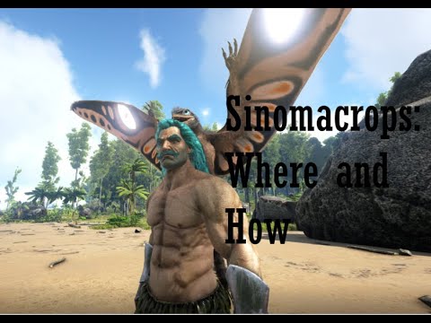 How to tame a Sinomacrops and Where they spawn [ARK: Survival Evolved ...