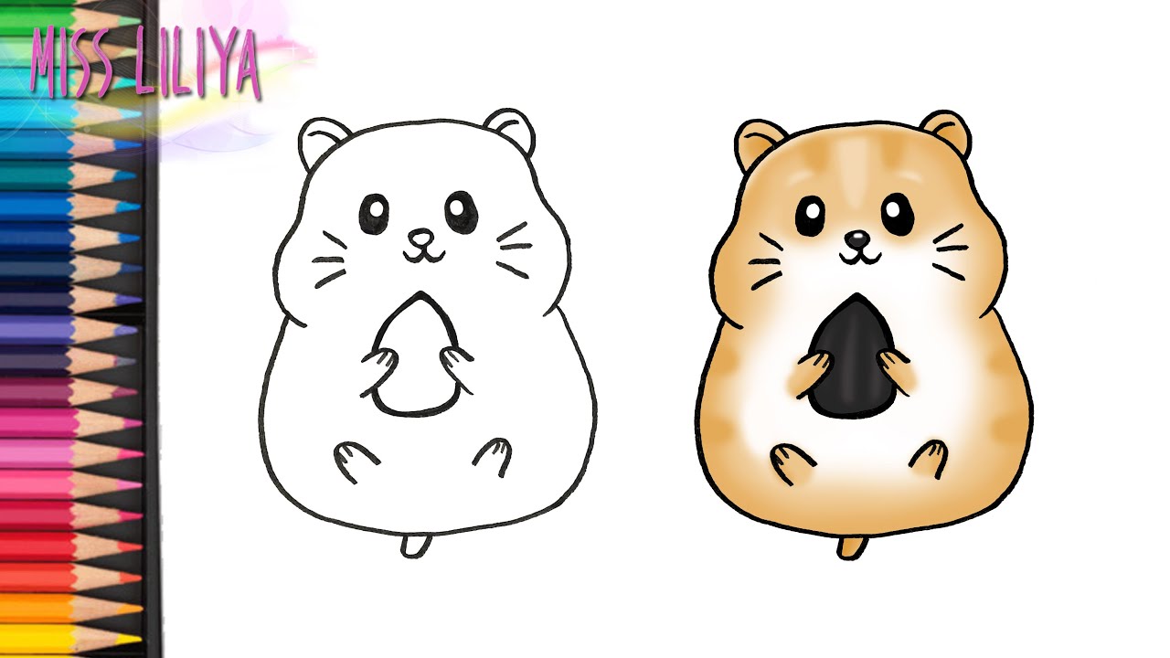 Як намалювати хомяка How To Draw A Humster Малюнки для дітей Youtube