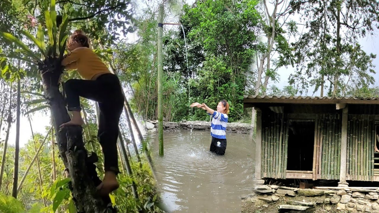 Full video build free life - YouTube