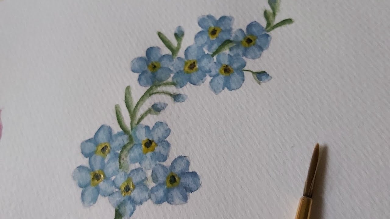 Beginner Watercolour Forget Me Nots Painting | Watercolour Floral ...