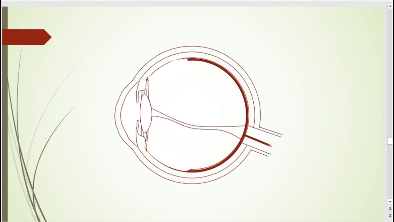 easy way to draw an internal structure of human eye - YouTube