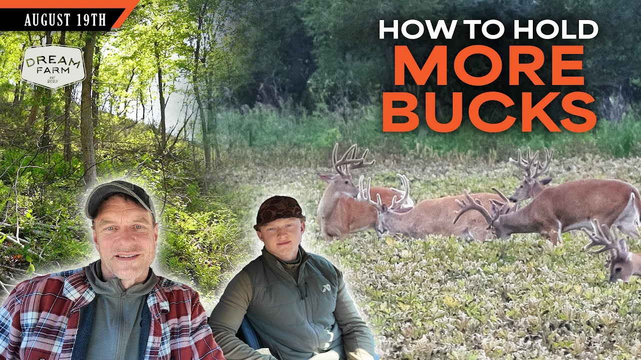 Changes you can make to hold more Mature Bucks | Dream Farm w/ Bill ...