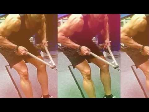 Kovács László personal trainer