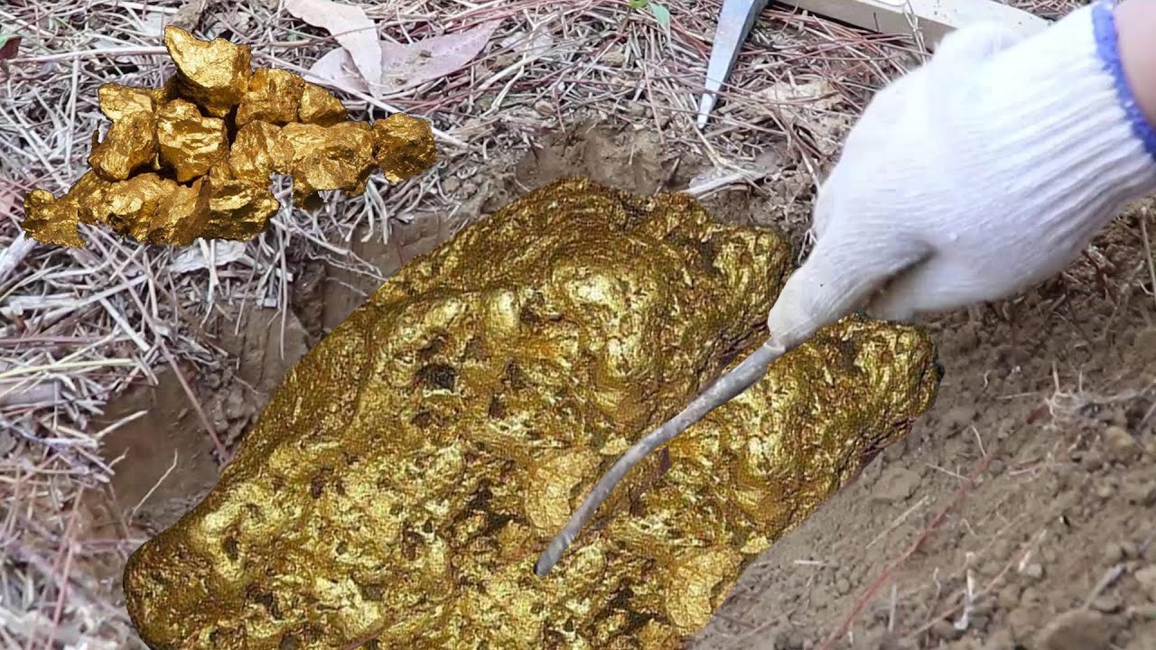 Worth a million / Treasure hunting in the deep mountains and woods and ...