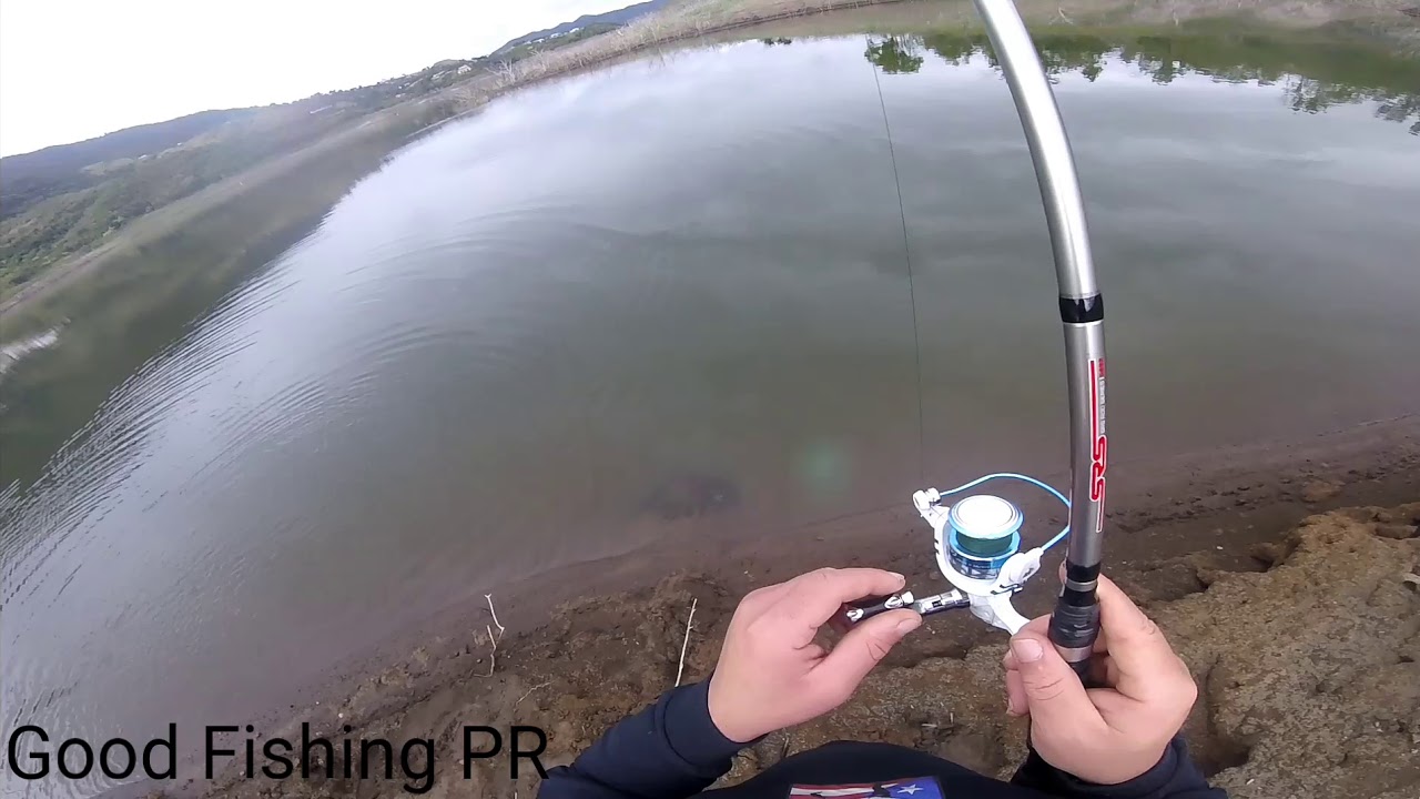 Lago de Villalba Puerto Rico pesca de lobinas. - YouTube