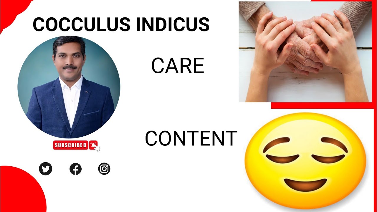 COCCULUS INDICUS BEST HOMOEOPATHIC MEDICINE - YouTube