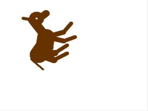 Horse Doing a Backflip - YouTube