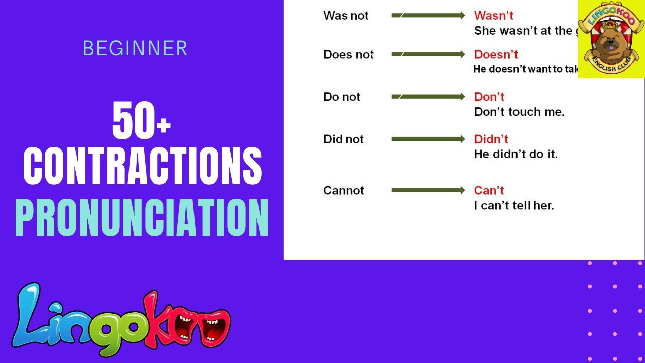 50+ Contractions for English Learners [Beginner] - YouTube