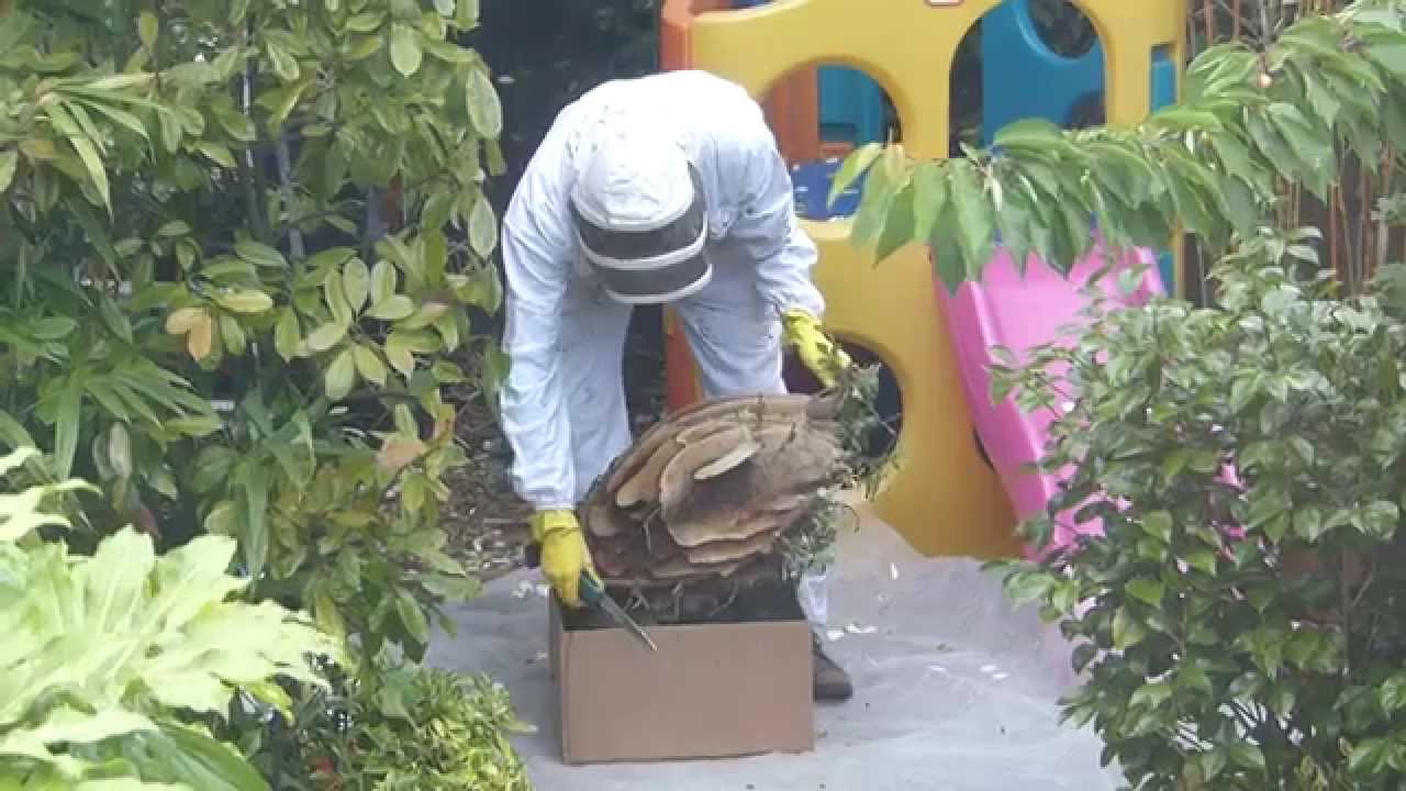 Tristram Sutton (17-06-15) - YouTube