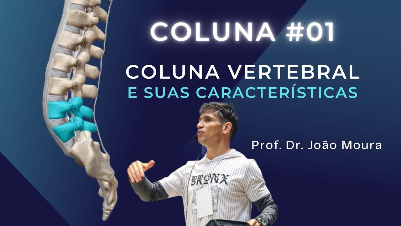 COLUNA VERTEBRAL QUAIS SÃO SUAS PRINCIPAIS CARACTERÍSTICAS? - COLUNA ...