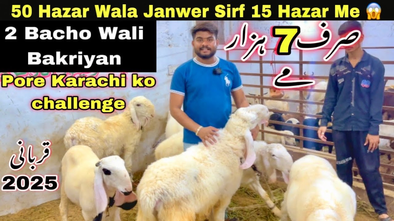 Sirf 7 Hazar Me 😱 | Lalukhet Ka Ghar Me Shoqeen Ne Sale Laga Di 😍 ...