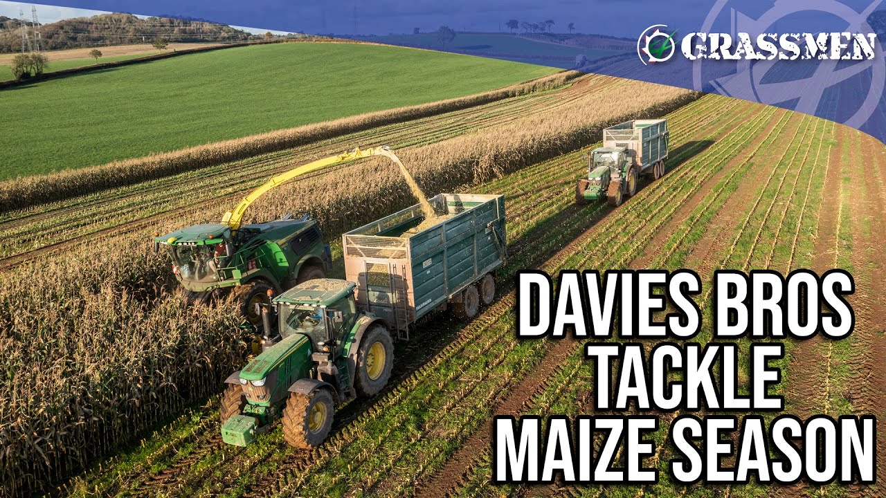 Davies Bros tackle maize season! | Grassmen | The Content Farm