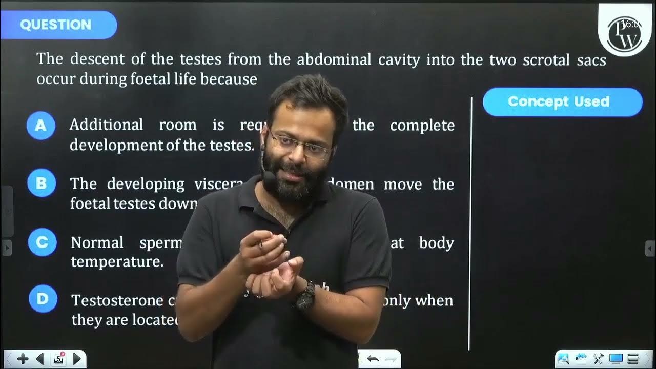 The Descent Of The Testes From The Abdominal Cavity Into The Two