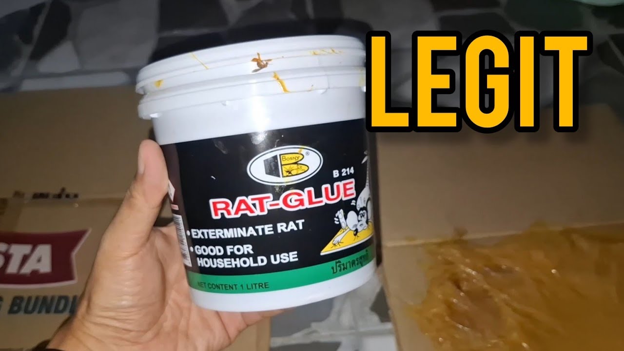 Mabisang Pandikit sa Daga | Bostik Rat Glue - YouTube