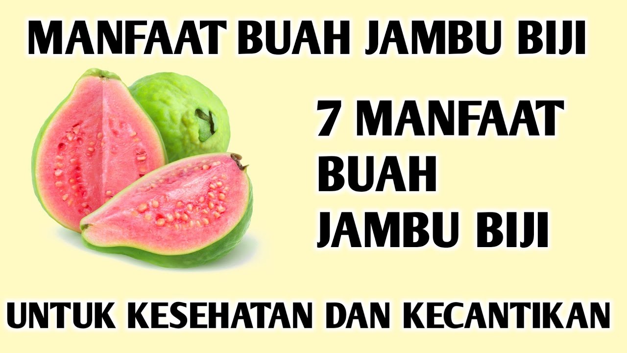 Manfaat Buah Jambu Biji Untuk Kesehatan dan Kecantikan / 7 Manfaat Buah ...