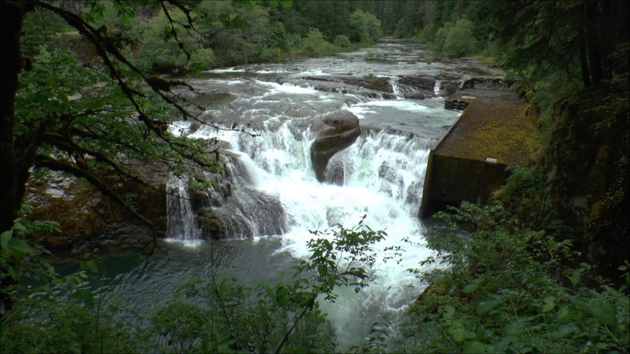 Steamboat Falls, Steamboat, Oregon - YouTube